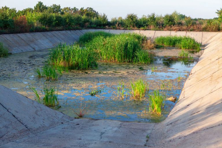 Recuperación de aguas grises permitirá regar de forma eficiente el ...